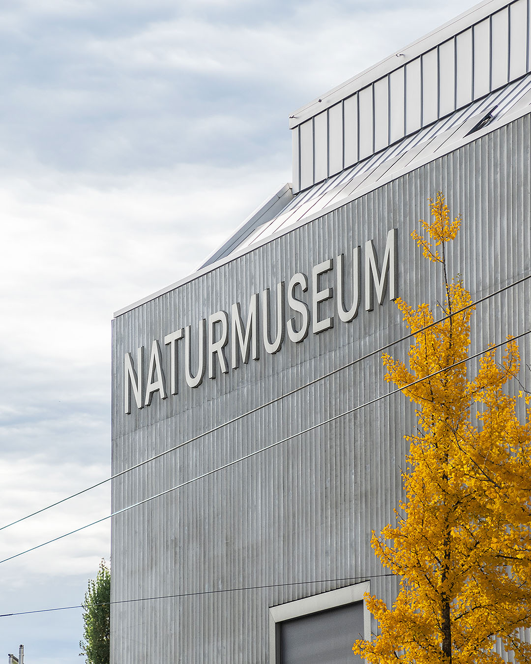 Naturmuseum St.Gallen – Archibatch